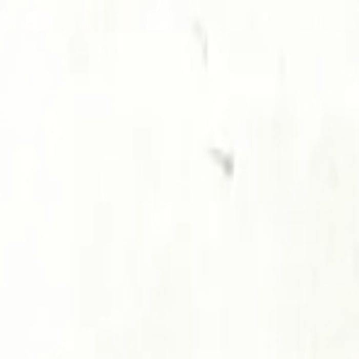 Kuretake Gansai Tambi Pan - 101 Gofun White | The Sydney Art Store