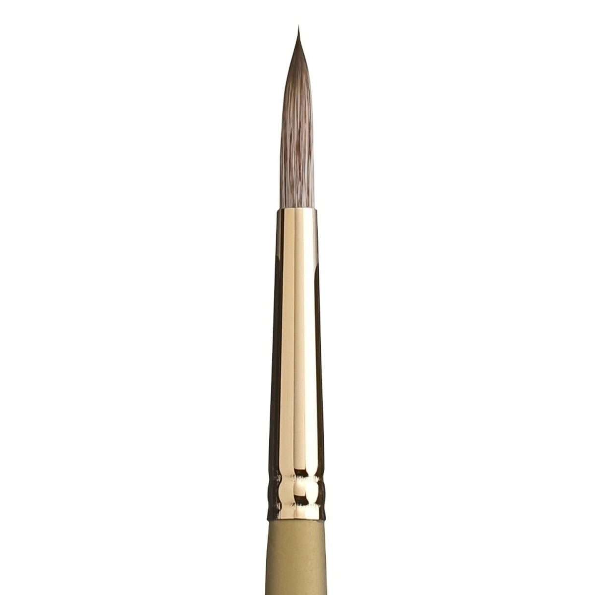 Princeton Imperial 6600 LH Long Round Size 8 — The Sydney Art Store